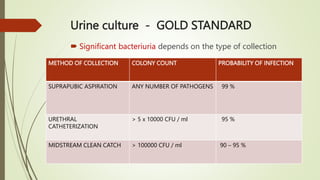 Urinary Tract Infection - presentation.pptx