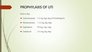 Urinary Tract Infection - presentation.pptx
