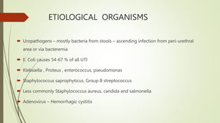 Urinary Tract Infection - presentation.pptx