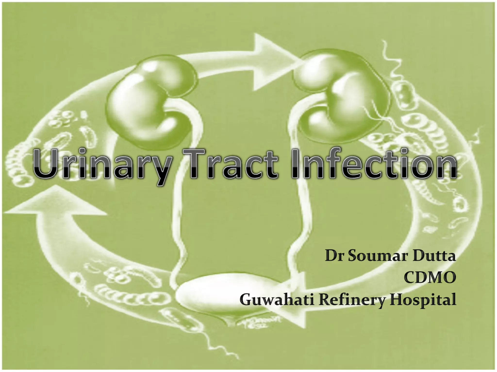 UTI- Urinary Tract Infection | PPT