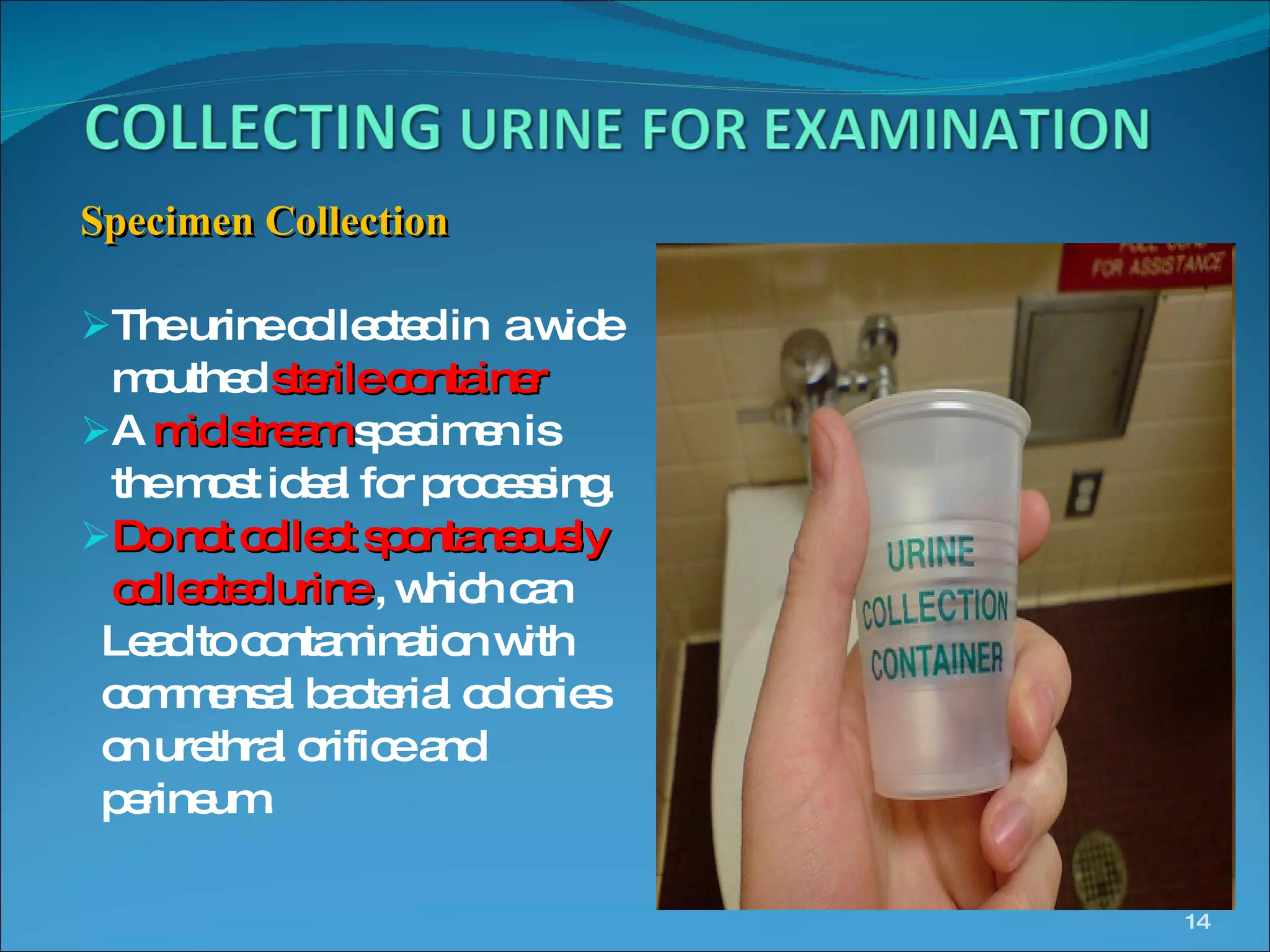 UTI- Urinary Tract Infection | PPT