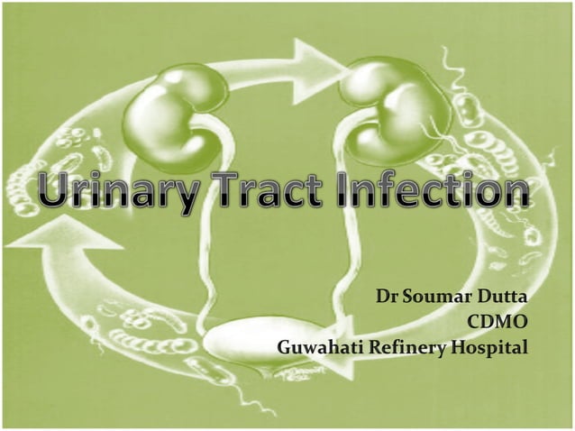 UTI- Urinary Tract Infection | PPT