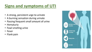 UTI slides urinary tract infection slides | PPT