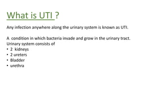 UTI slides urinary tract infection slides | PPT