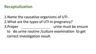 UTI slides urinary tract infection slides | PPT