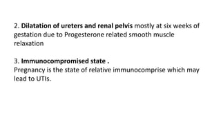 UTI slides urinary tract infection slides | PPT