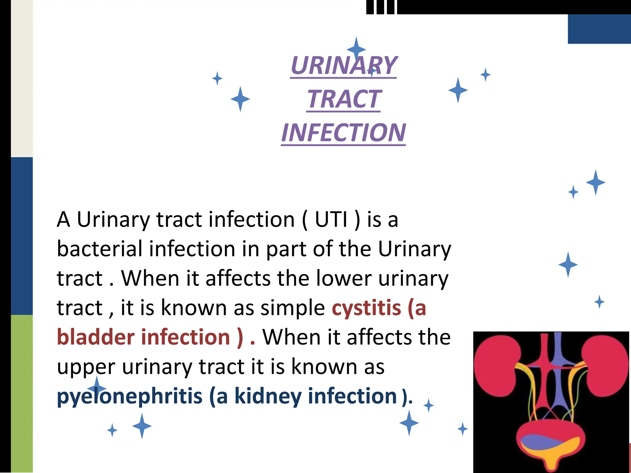 Urinary Tract Infection Medical . pptx | PPTX | Infectious Diseases ...
