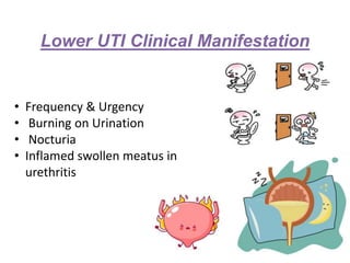 Urinary Tract Infection Medical . pptx | PPT