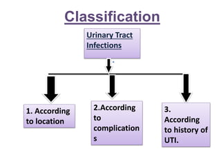 Urinary Tract Infection Medical . pptx | PPTX | Infectious Diseases ...