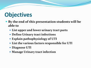 UTI 4th year Lecture.pptx | Infectious Diseases | Diseases and Conditions