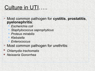 urinary tract infection | PPT