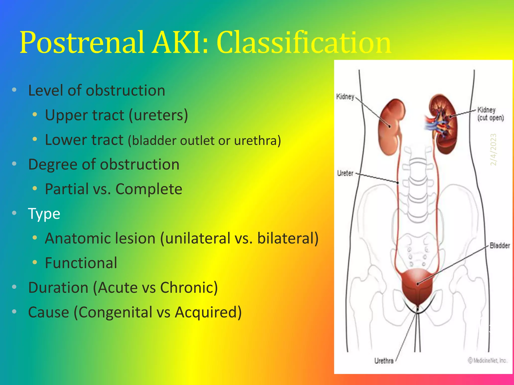 UTI ,AKI & CKD.pptx