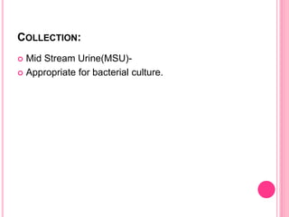 Uti and lab diagnosis | PPTX