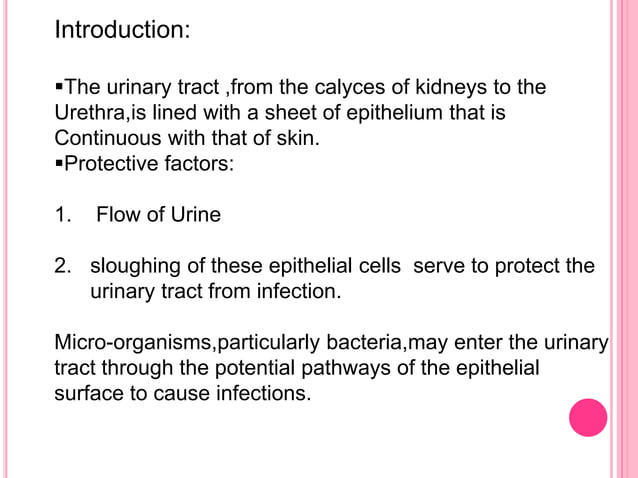 Uti and lab diagnosis | PPTX | Reproductive Health | Diseases and ...