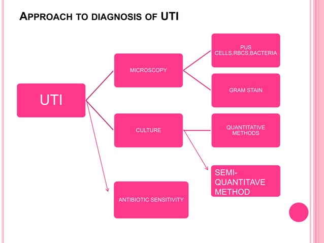Uti and lab diagnosis | PPTX | Reproductive Health | Diseases and ...