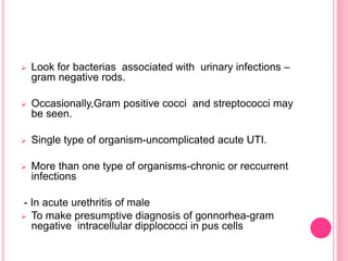 Uti and lab diagnosis | PPTX