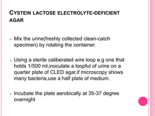 Uti and lab diagnosis | PPTX