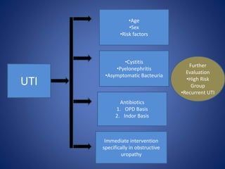Uti a surgeons perspective | PPTX
