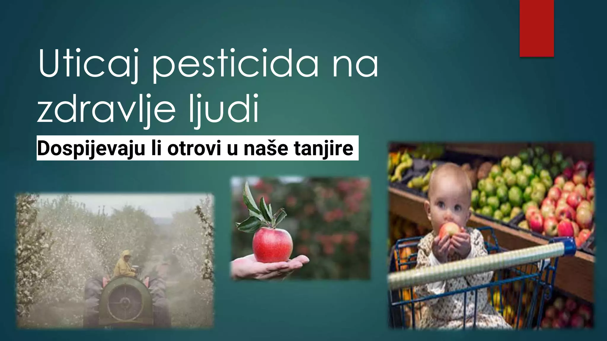 Uticaj pesticida na zdravlje ljudi | PPTX