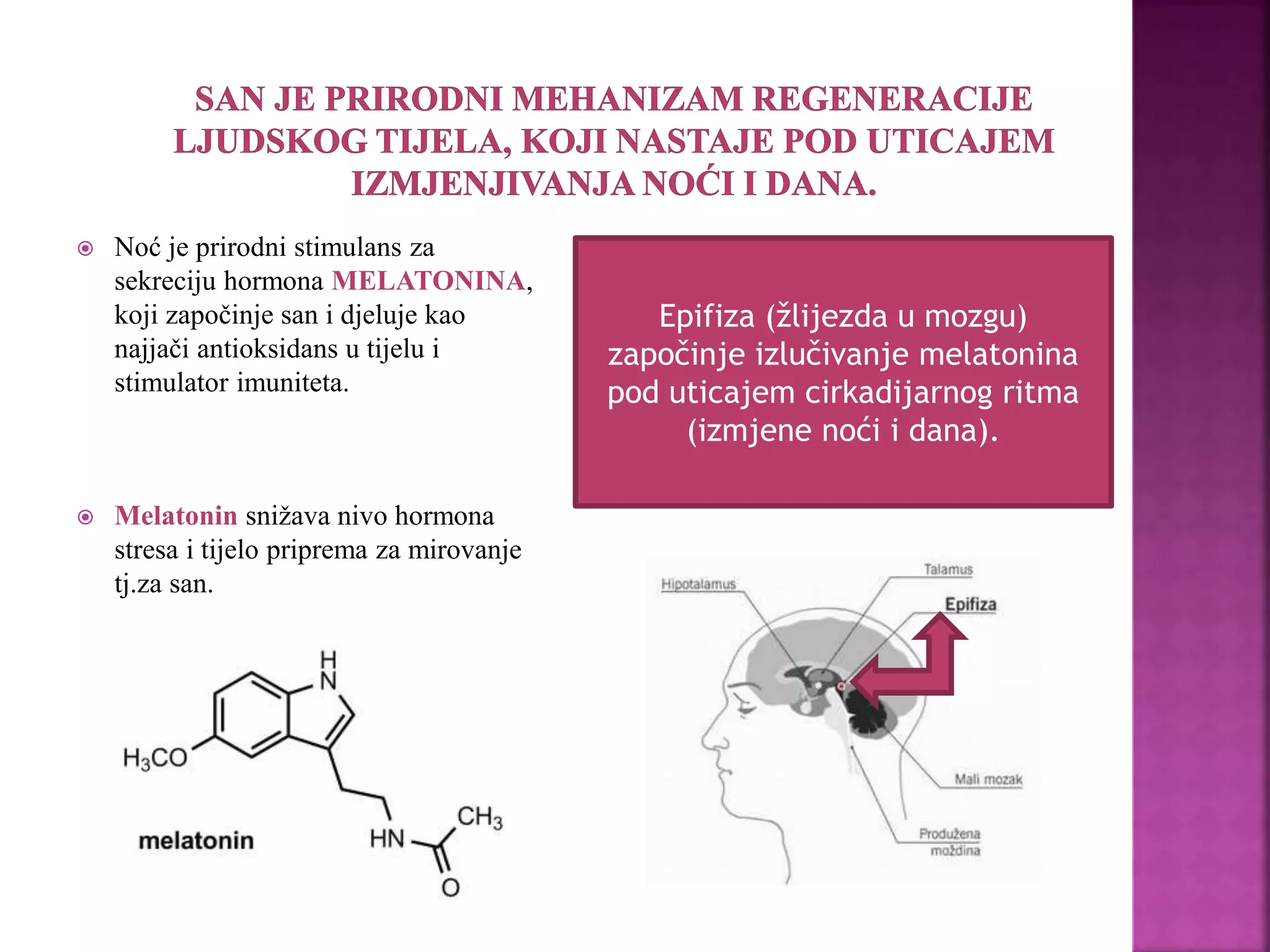 Uticaj sna na fizioloske procese | PPTX