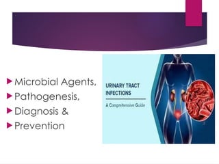 UTI_CAUTI_Microbiology_Detailed_Presentation (1).pptx