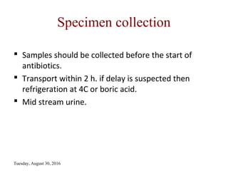 Uti class | PPT | Sexual Conditions | Sexual Health