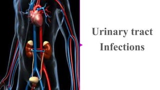 Clinical Cases Study for Urinary tract infections | PPTX