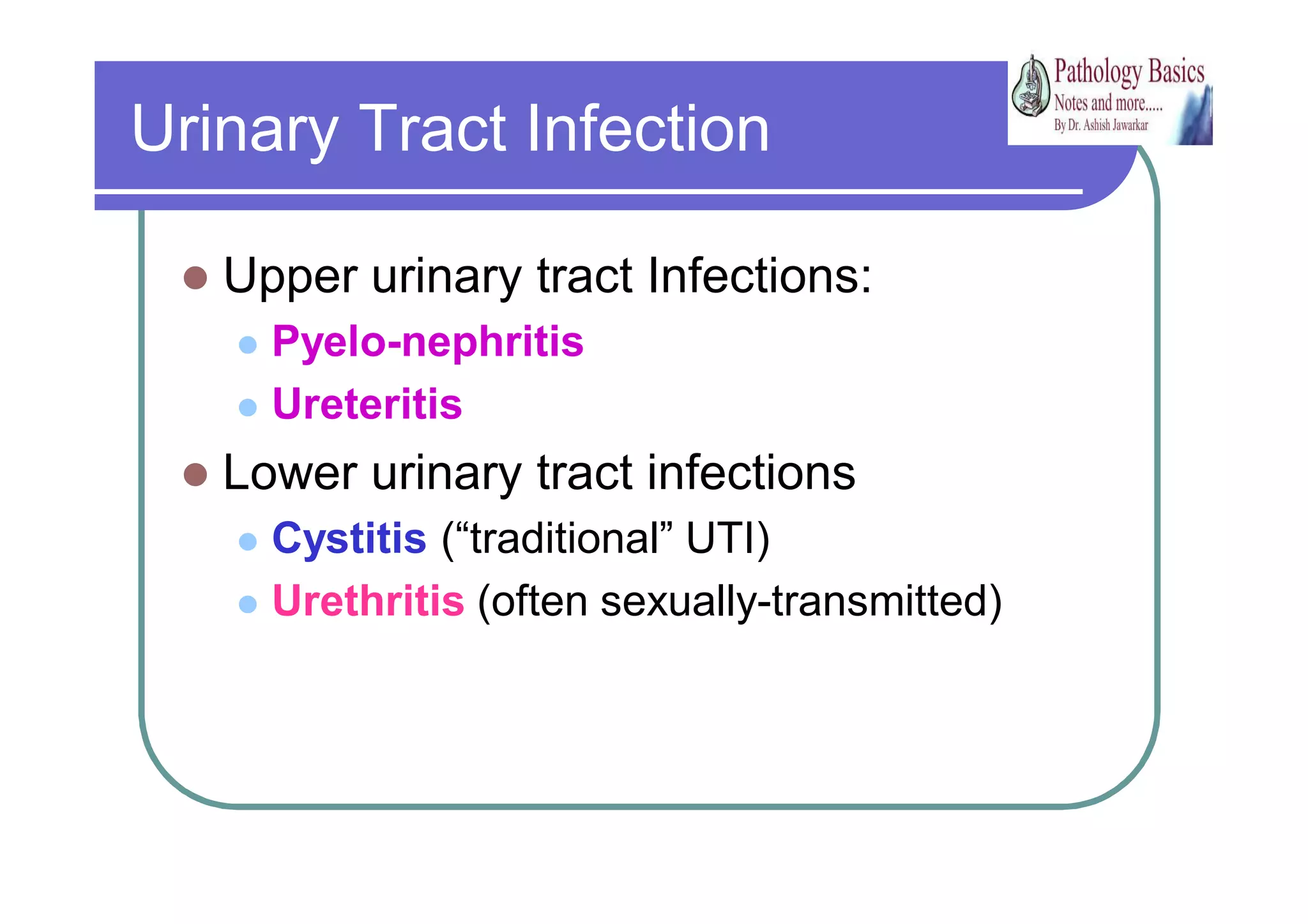 URINARY TRACT INFECTION - MICROBIOLOGY | PDF