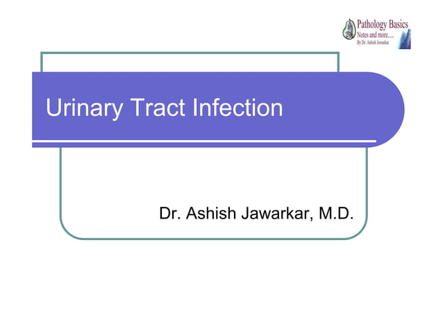 URINARY TRACT INFECTION - MICROBIOLOGY | PDF | Medical Health