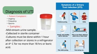 Laboratory diagnosis of UTI (Practical). | PPTX