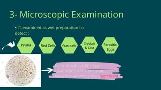 Laboratory diagnosis of UTI (Practical). | PPTX