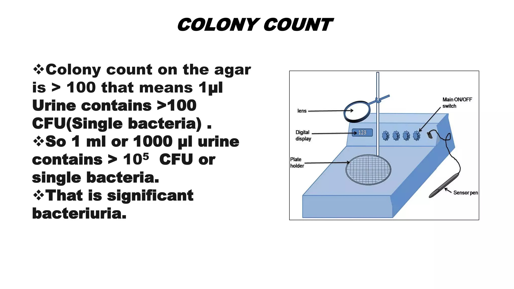 Uti diagnosis with pic microbiology | PDF