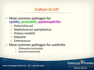 Management of Urinary Tract Infections (UTI) in Females (New Born to ...