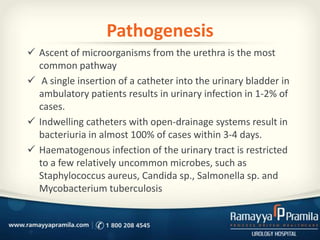 Management of Urinary Tract Infections (UTI) in Females (New Born to ...