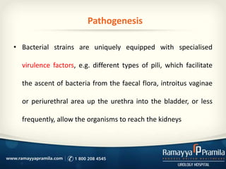 Management of Urinary Tract Infections (UTI) in Females (New Born to ...