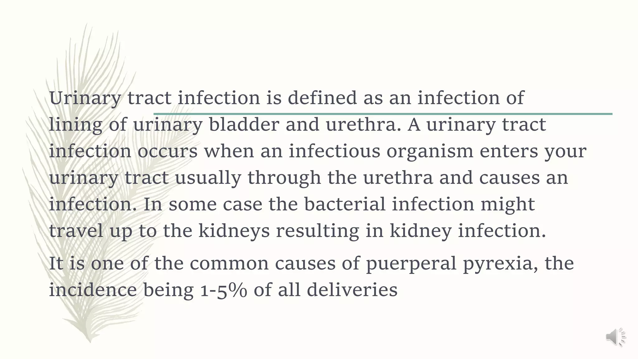 Urinary Tract Infection(UTI) during Postnatal period | PPTX