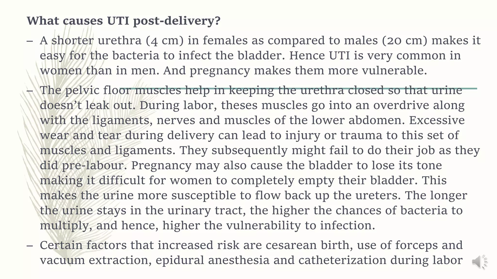 Urinary Tract Infection(UTI) during Postnatal period | PPTX