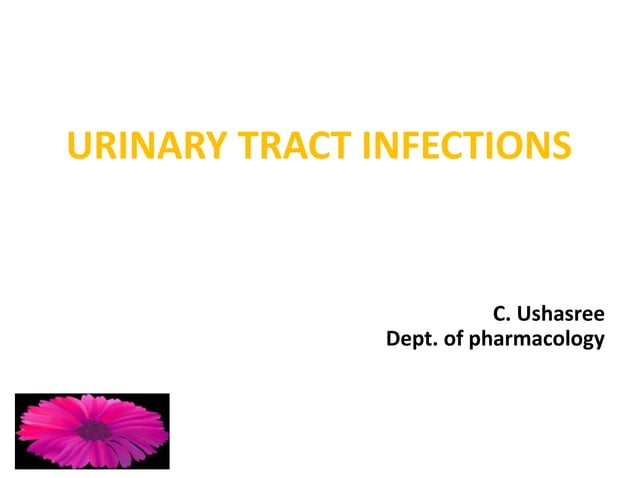 UTI urinary tract infection final.pptx