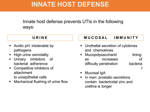 UTI urinary tract infection final.pptx