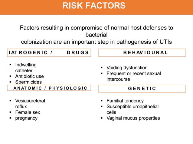UTI urinary tract infection final.pptx