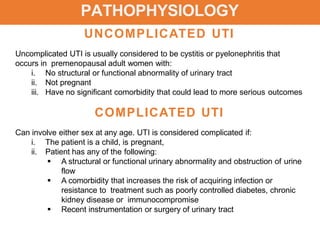 UTI urinary tract infection final.pptx