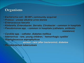 UTI Clinical Practice Guideline | PPT