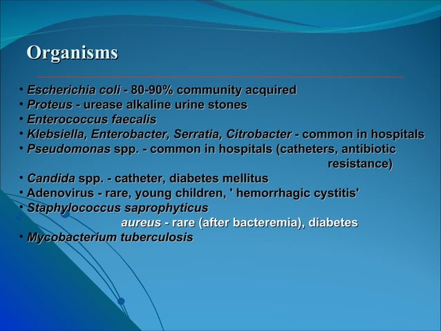 UTI Clinical Practice Guideline | PPT