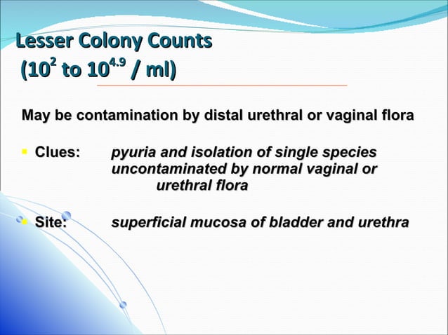 UTI Clinical Practice Guideline | PPT