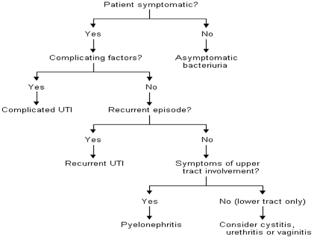 UTI Clinical Practice Guideline