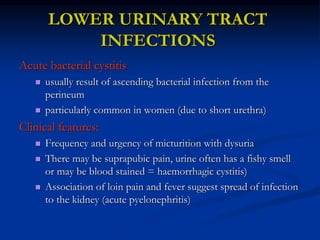 UTI in Adults and ssssssssssChildren.ppt