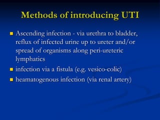 UTI in Adults and ssssssssssChildren.ppt