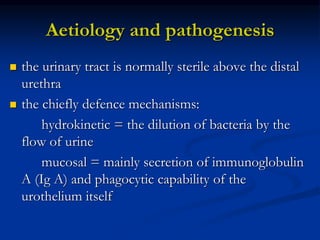 UTI in Adults and ssssssssssChildren.ppt