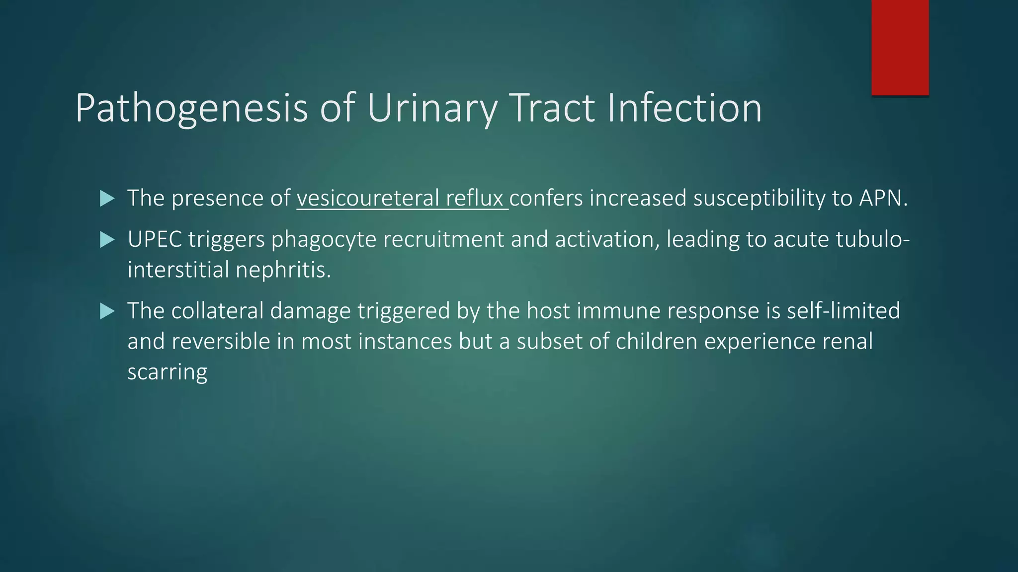 UTI in children | PPTX