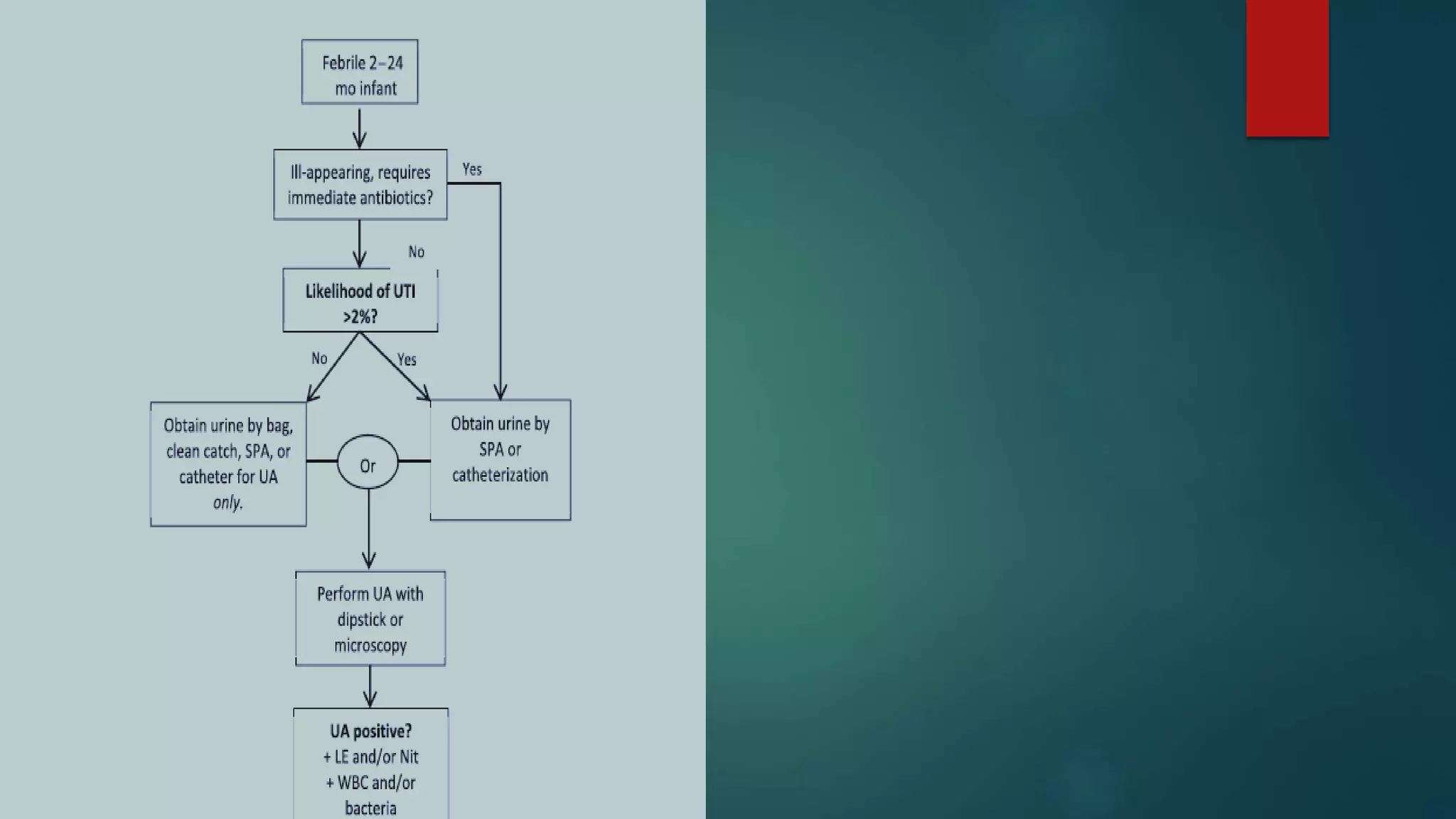 UTI in children | PPTX